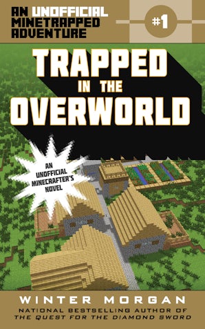 Trapped in the Overworld